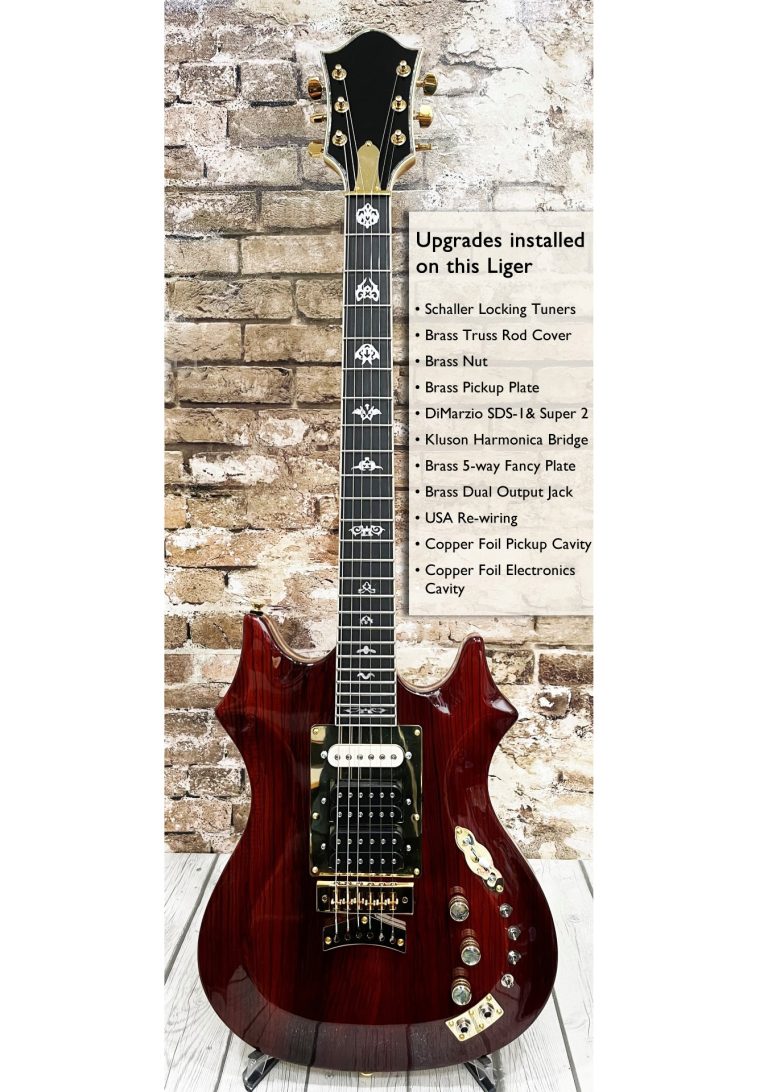 Category: Triple Humbucker (3 pickups) - PHRED instruments